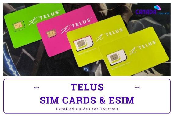 Canada SIM Cards: Detailed Guides